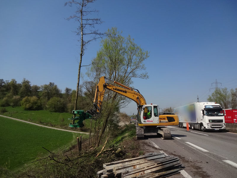 Rodungsarbeiten Gebr. Haider Bauunternehmung GmbH